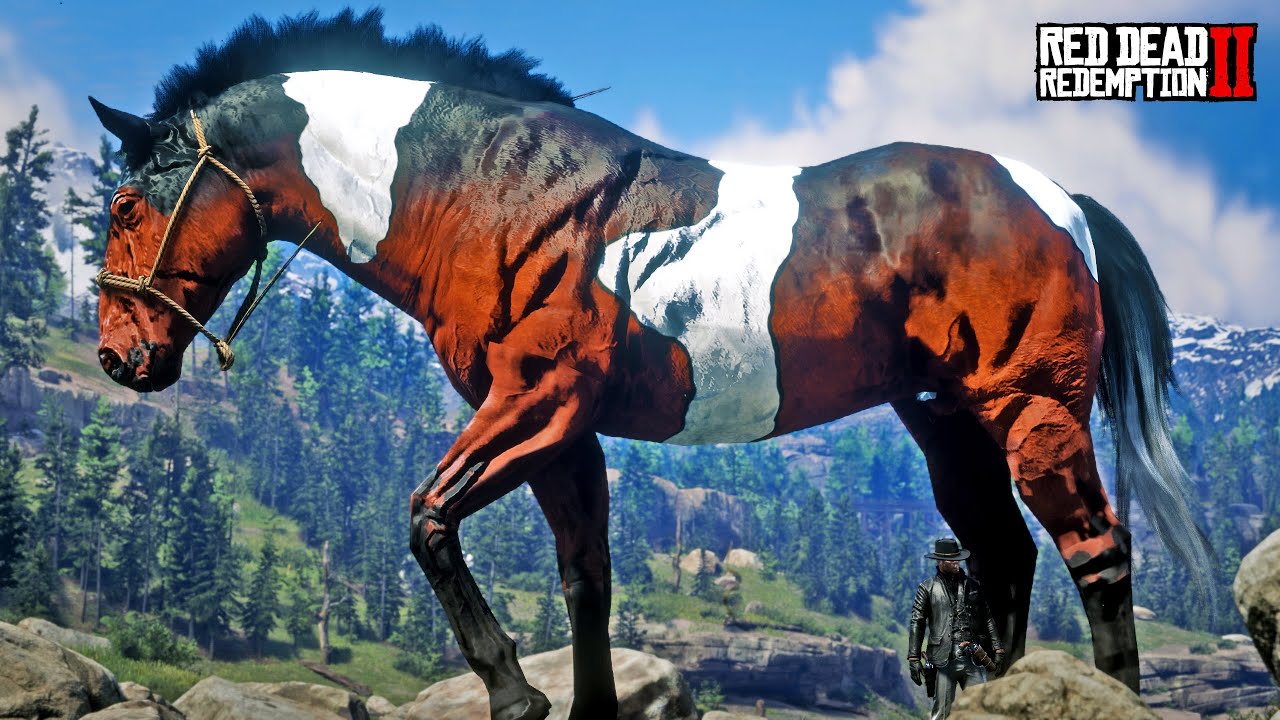Arthur Morgan Discovers & Tames the White & Brown Nararis Horse at ...