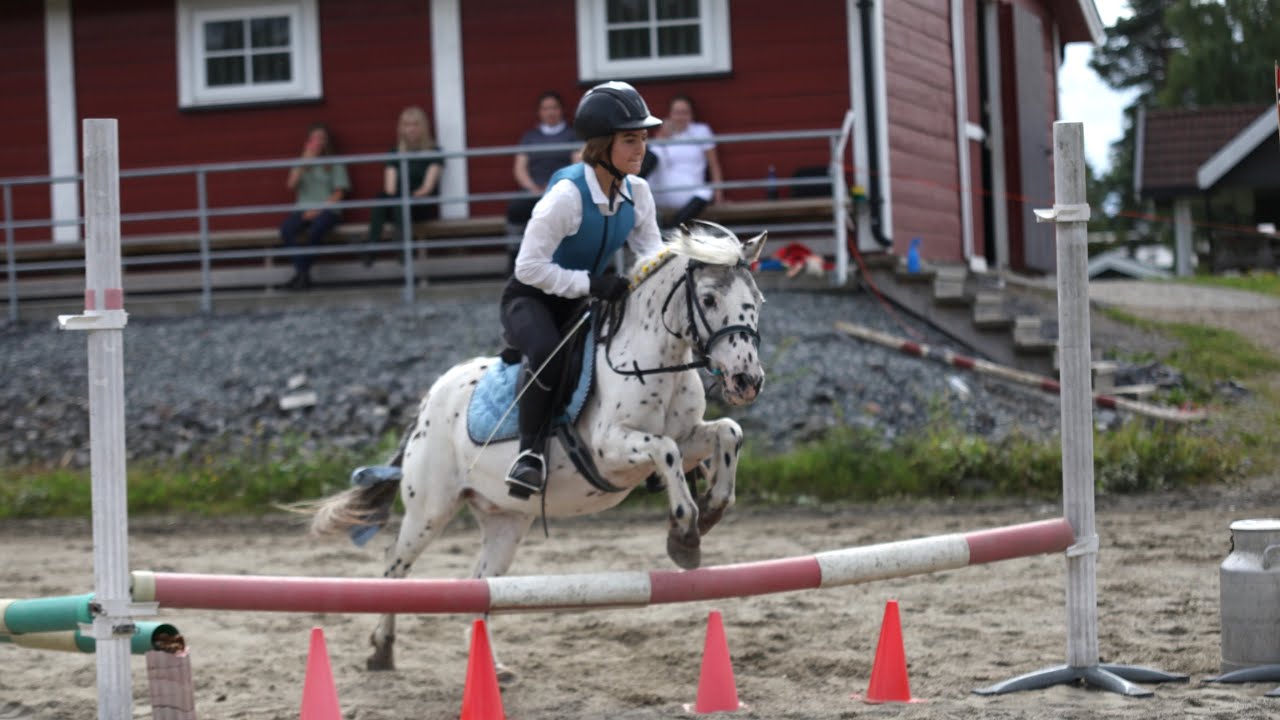 Lederuke Stall Tajet 2022 - YouTube