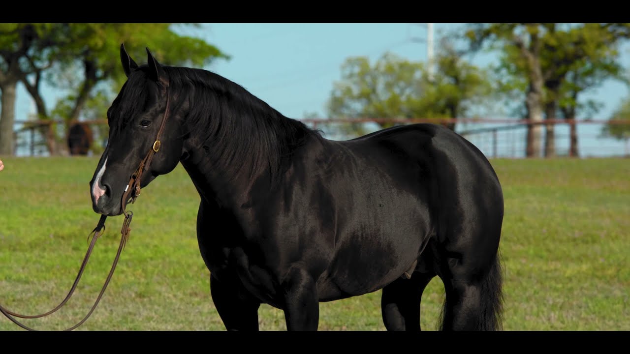 The Notorious B I G - YouTube