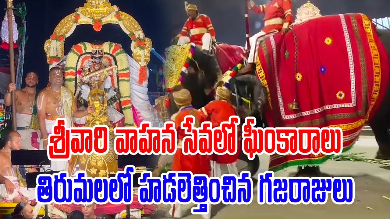Tirumala Hamsa Vahanam Seva | Elephants Participation In Navaratri ...