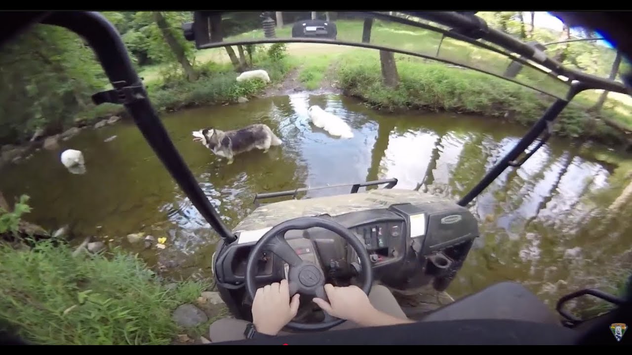 Feeling Amphibious As The Huskies And Me In The Electric ATV Cross The ...