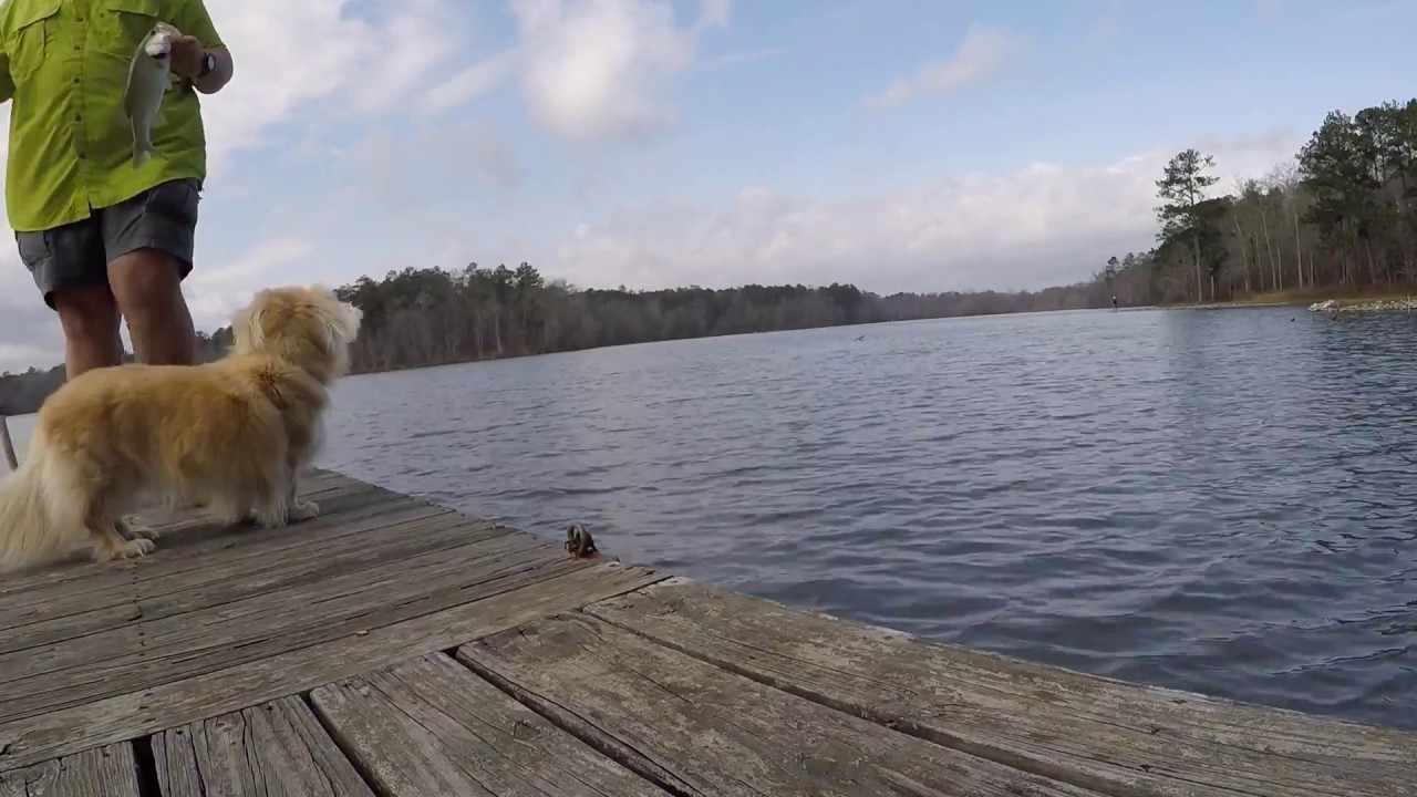 Lee County Lake - YouTube