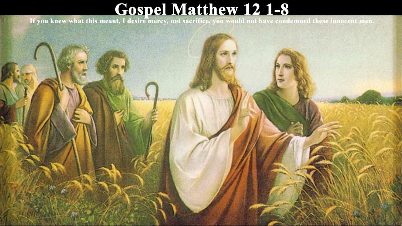 gospel-matthew-12-1-8-19-july-2024-youtube