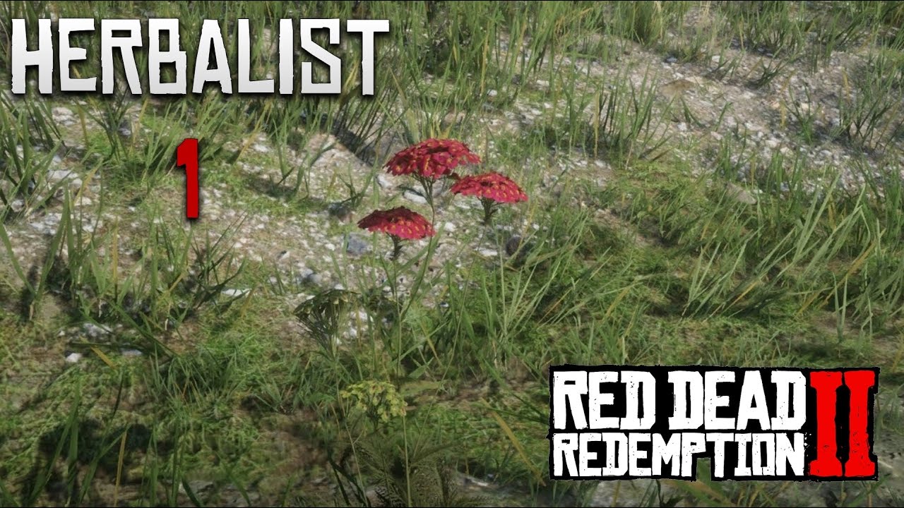 Red Dead Redemption 2 | Herbalist Challenge 1 - Pick 6 Yarrow ...