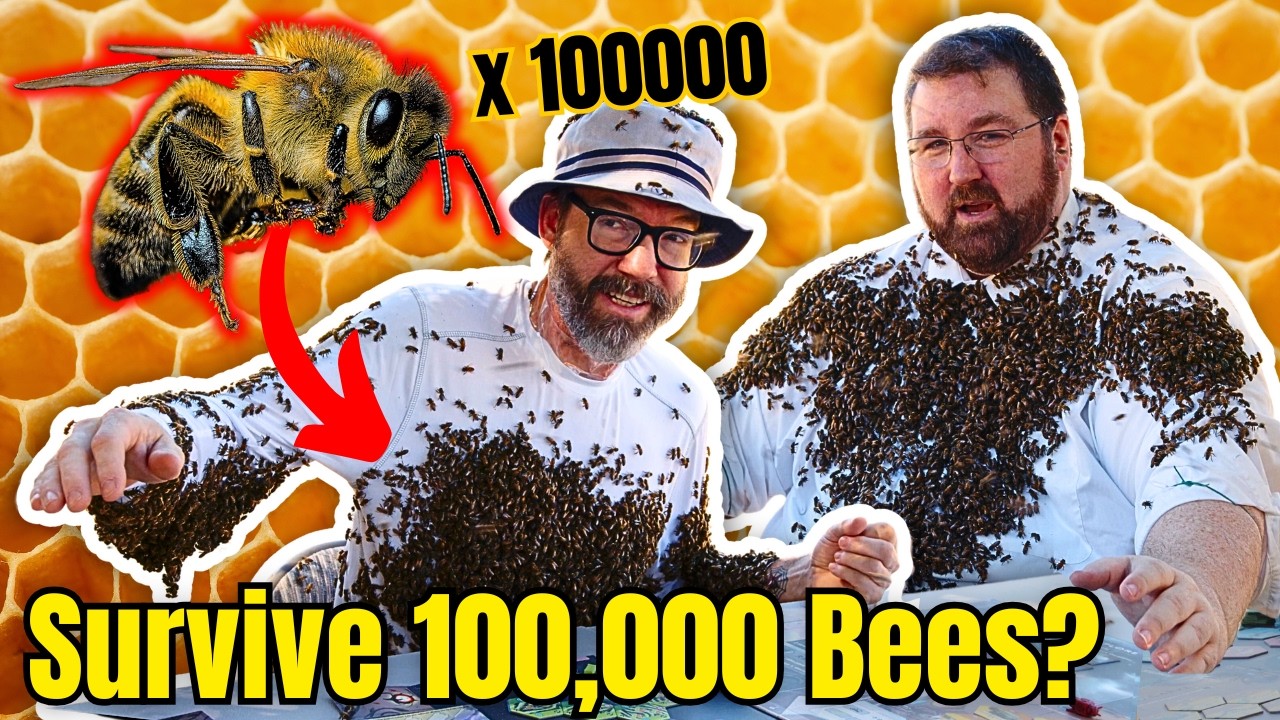Extreme Board Gaming - Bees Edition - YouTube