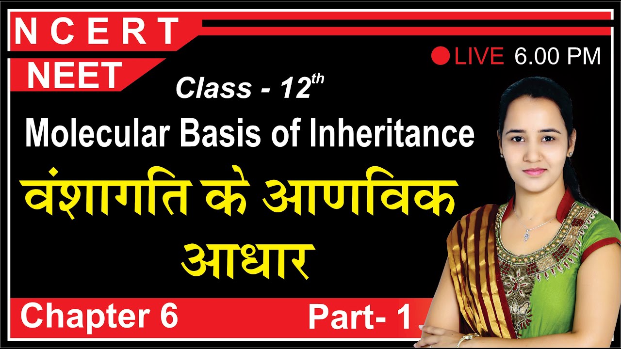 molecular basis Inheritance class 12/ molecular basis inheritance 12th ...
