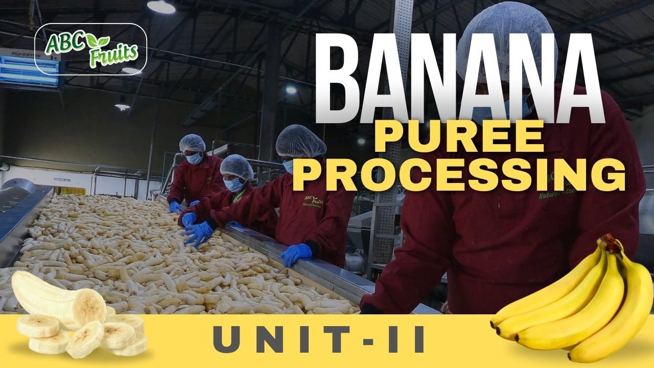 How Banana Pulp Is Processed In Factory Banana Pulp Processing ABC how-banana-pulp-is-processed-in-factory-banana-pulp-processing-abc
