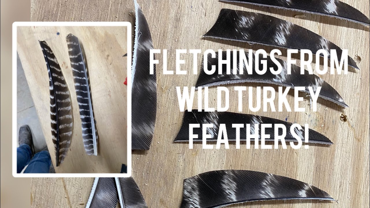 Processing Wild Turkey Feathers Into Fletchings - YouTube