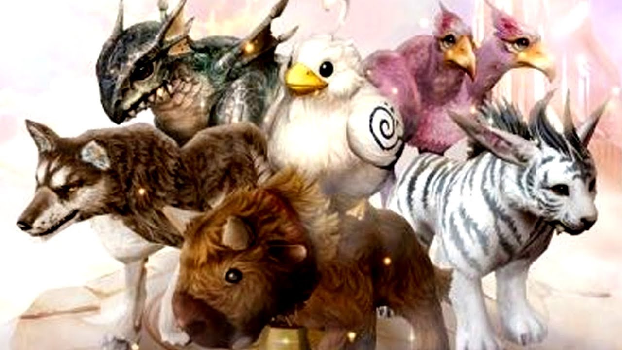 Lineage 2 Essence EU - Como Obter os Novos Pets ? Wolf, Kookaburra ...