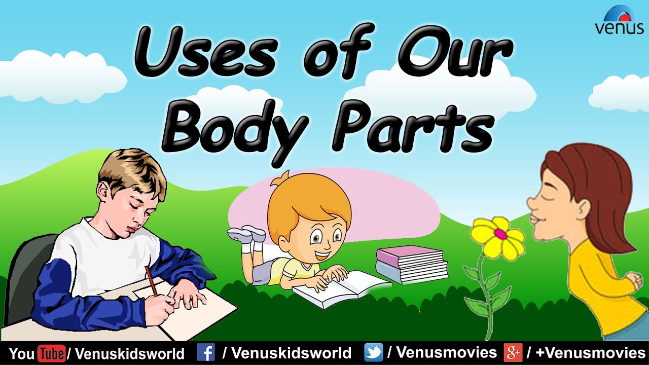 Uses Of Our Body Parts YouTube uses-of-our-body-parts-youtube