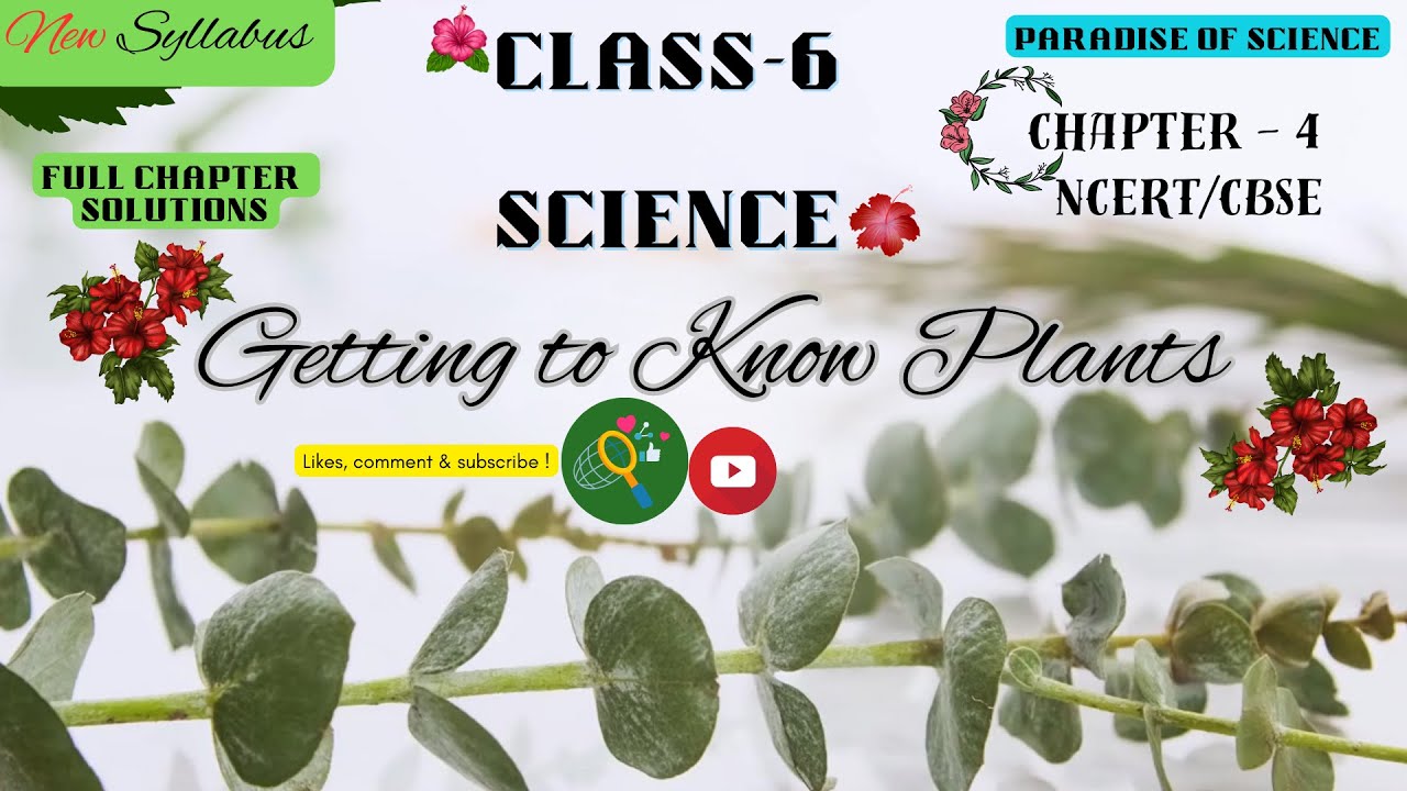 New syllabus NCERT \ CBSE Class 6 Science Chapter 4 Getting to Know ...