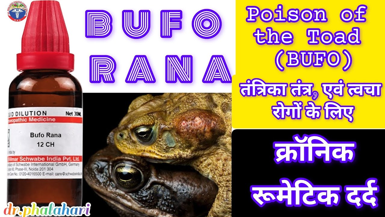 bufo rana homeopathy medicine for chronic rheumatic arthritic nervous ...