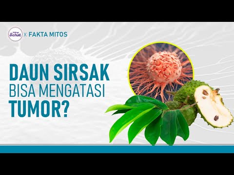 Cek Fakta Manfaat Daun Sirsak, Bisa Untuk Tumor? | Hidup Sehat tvOne