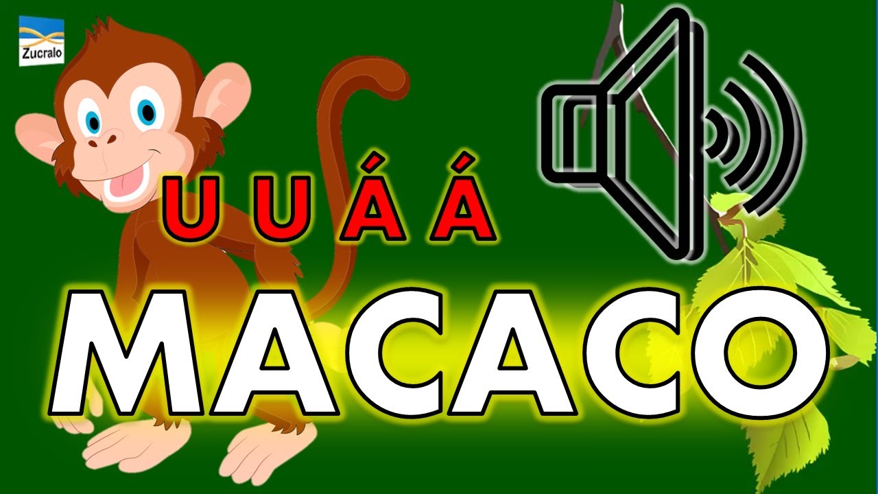 💙 BARULHO DOS BICHOS | SOM DO MACACO: U U Á Á! (EDUCAÇÃO INFANTIL ...