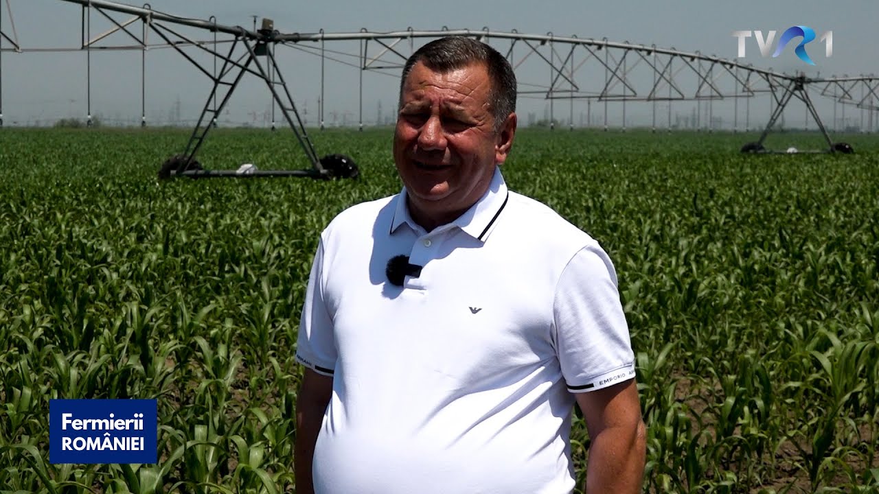 Ferma unde se produce sămânță de grâu și de porumb - YouTube