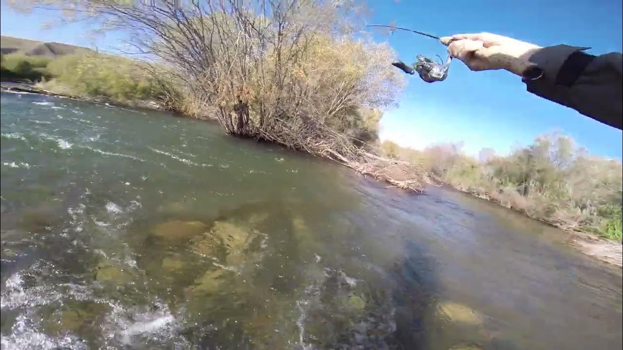 Форель на большой воблер ! - YouTube