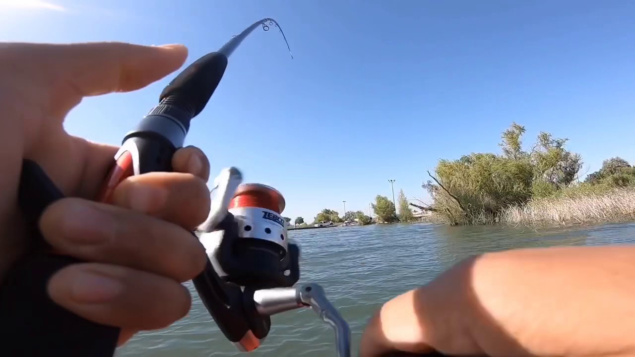 Woodward Reservoir Fishing at Stephen Gallagher blog