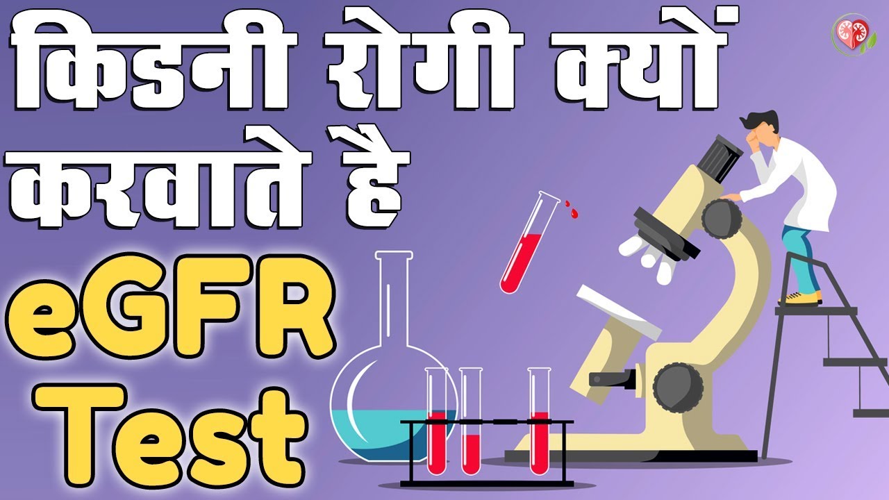 What is Glomerular Filtration Rate (eGFR)? – 100% बढ़ेगा gfr - egfr ...