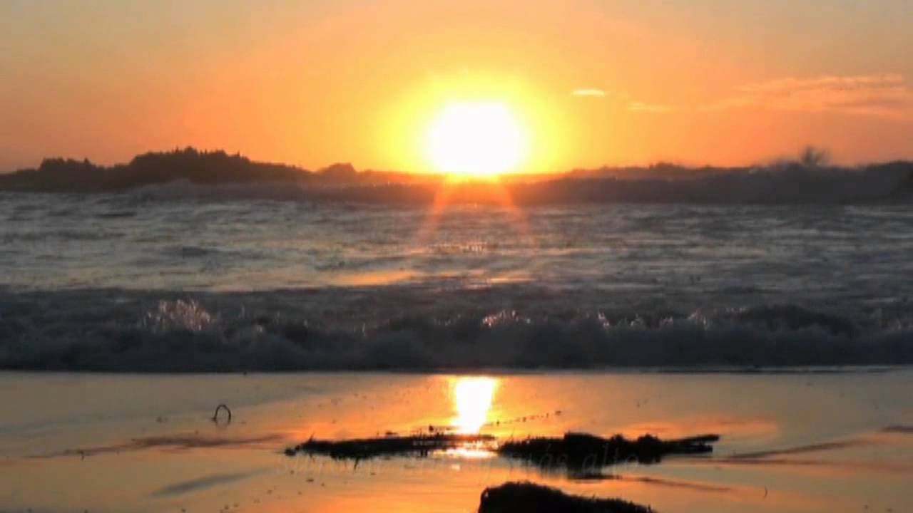 Poets of the Fall - Morning Tide Subtitulado Español - YouTube