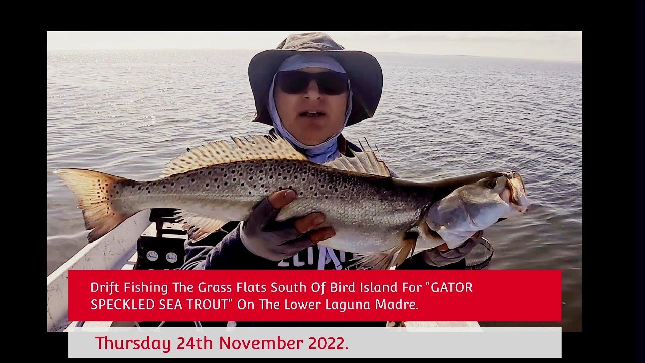 Drift Fishing Grass Flats South Of Bird Island For GATOR SPECKLED TROUT ...