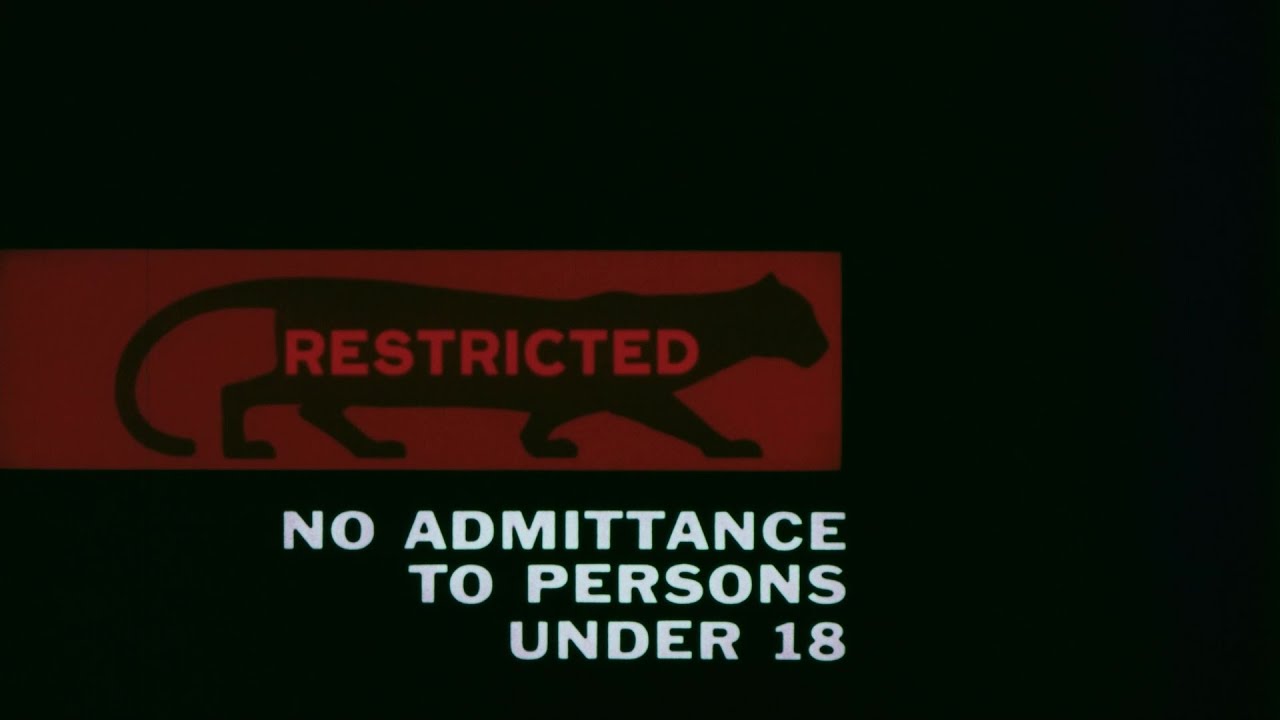 Following Film is RESTRICTED - Kitty Cats (1970s) [FTD-0277] - YouTube