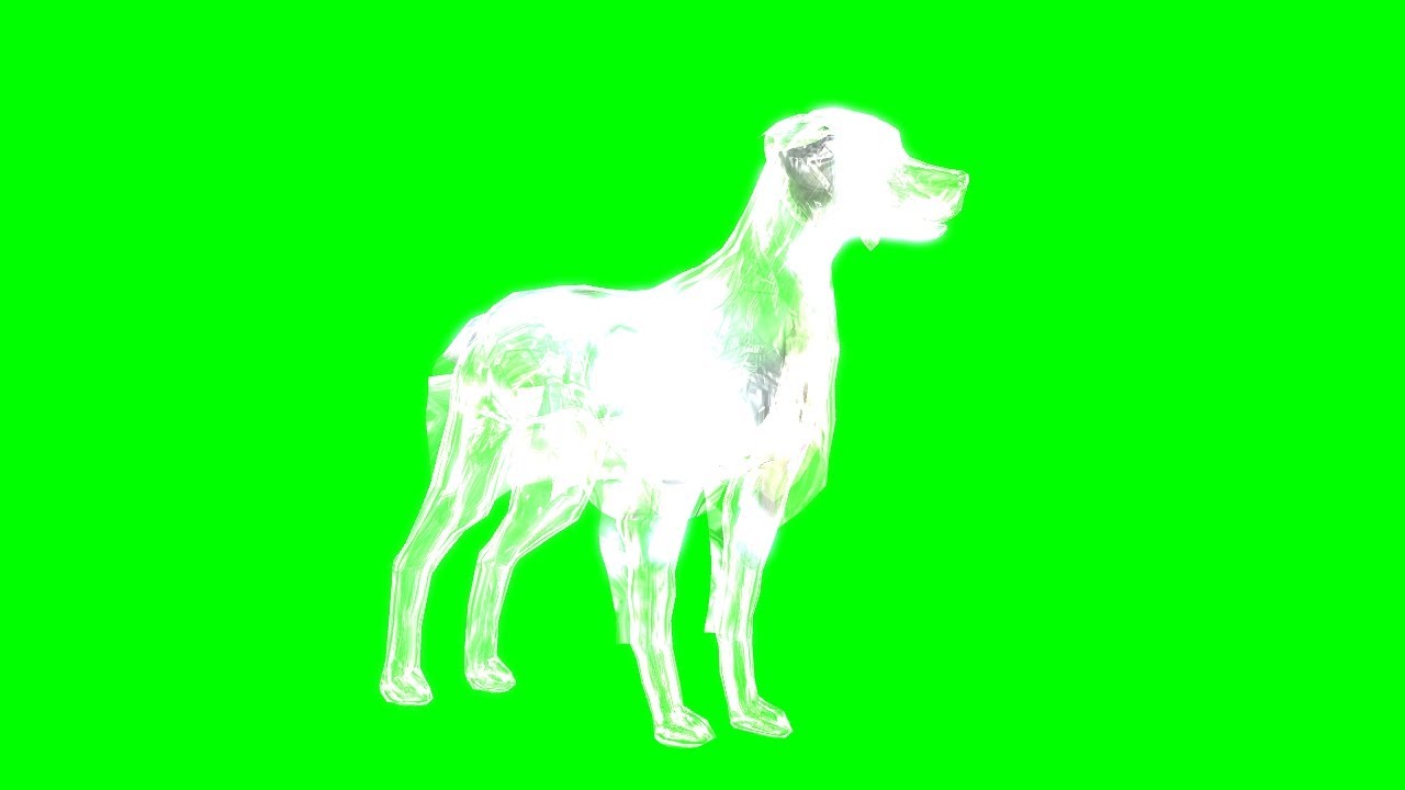 Ghost Dog green screen - free green screen - free use - YouTube