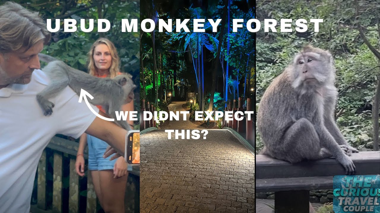 😅Epic Crazy Adventures at Ubud Monkey Forest 🌳: Nature & Mischief! 🐒 Ep ...