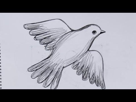 How To Make Flying Bird | Tutorial | Amitartclasses - YouTube