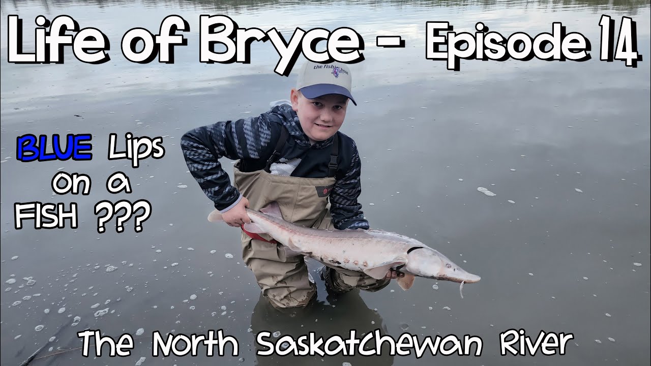 Life of Bryce Episode 14: Blue lips on a FISH ? - YouTube