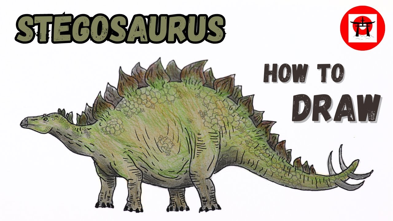 How to draw Stegosaurus - YouTube