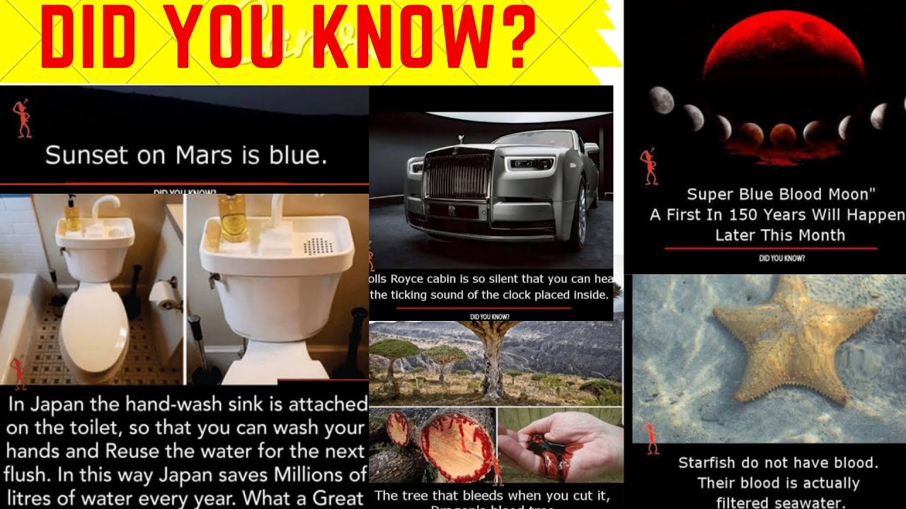 Did You Know Facts ? 🔥 Amazing Facts 🔥 That Everyone Should Know #23 ...