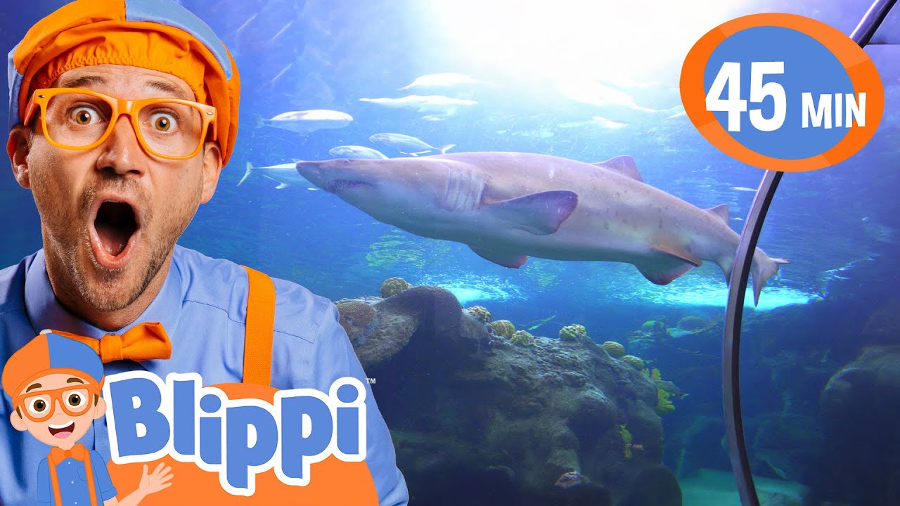 Blippi sees a Shark at the AQUARIUM | Blippi & Meekah Challenges and ...