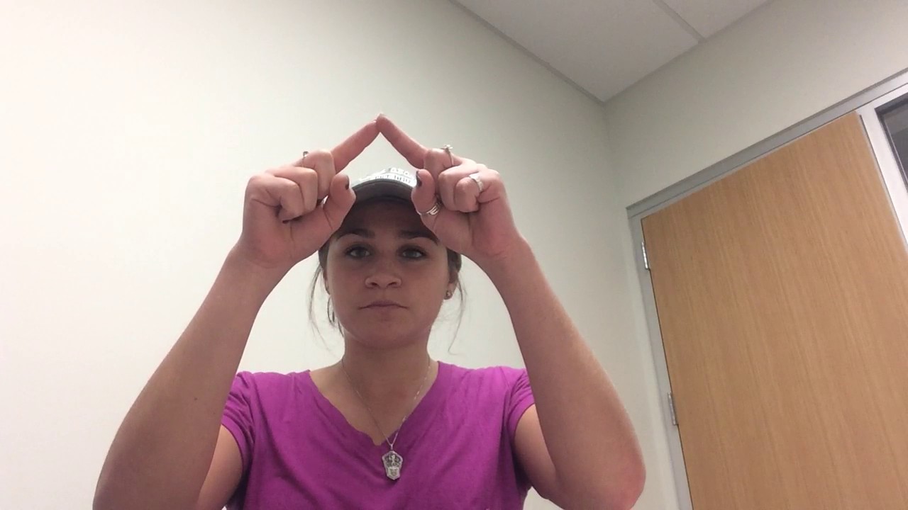 Holly Cavalluzzo ASL Video Blog - YouTube