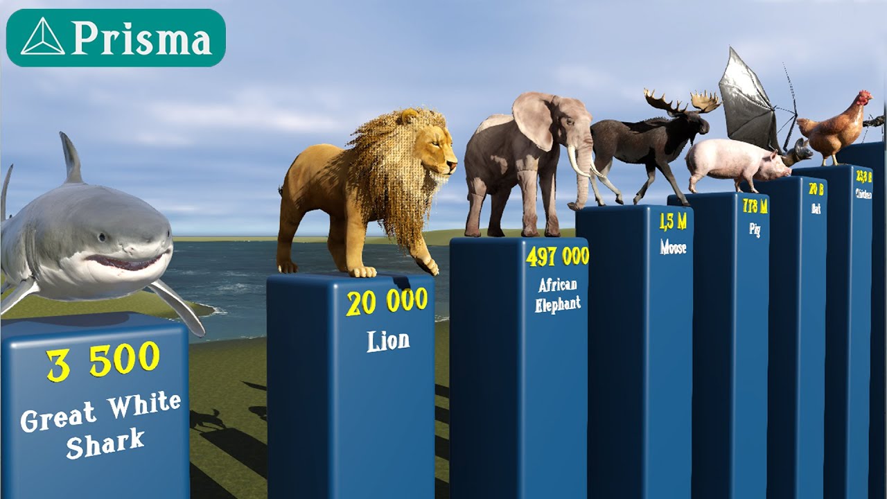 Animal Population Comparison 2025 - YouTube