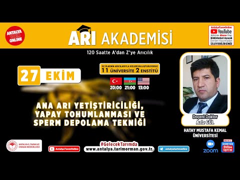ARI AKADEMİSİ-8 ANA ARI YETİŞTİRİCİLİĞİ, YAPAY TOHUMLANMASI VE SPERM DEPOLAMA TEKNİĞİ