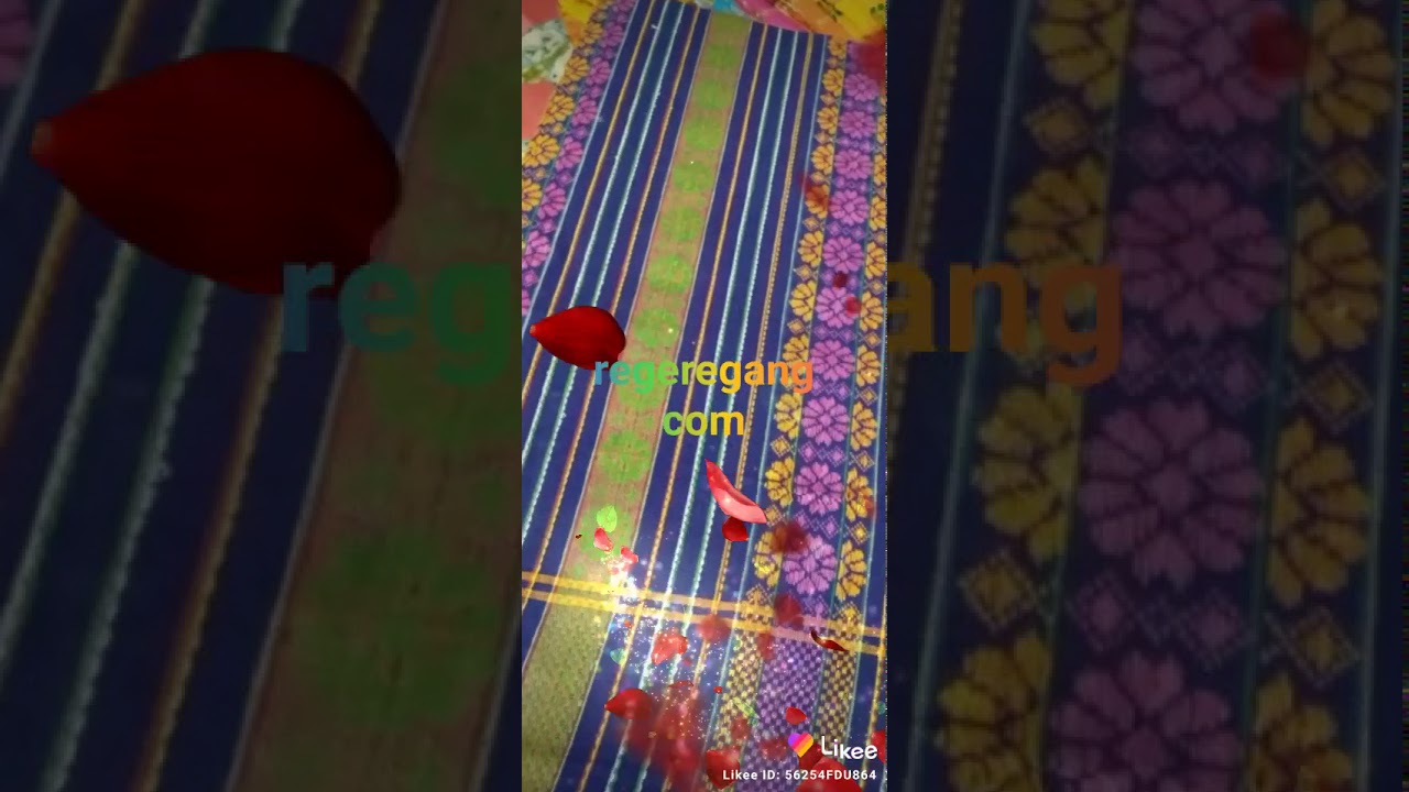 Bodo Traditional Dokhona Collection - YouTube