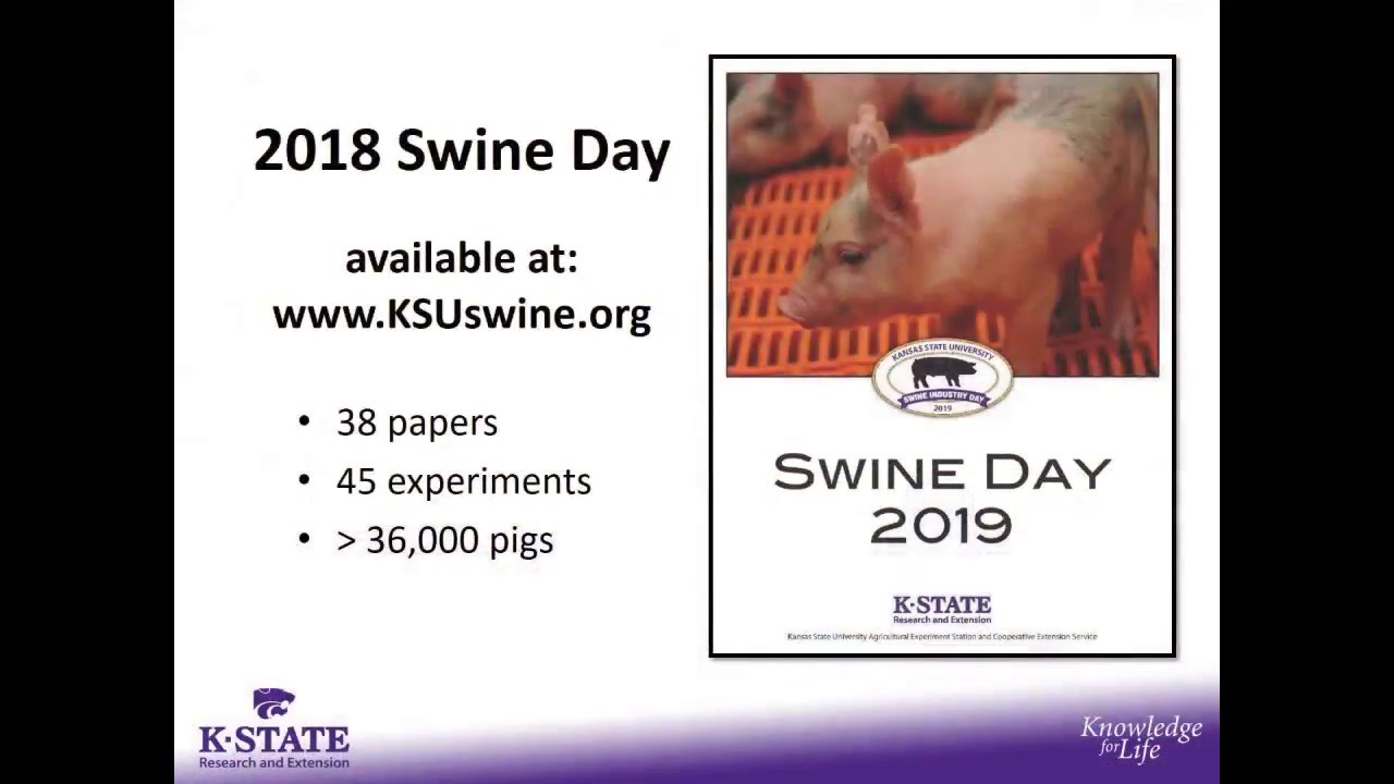 2019 KSU Swine Day - Gestation and transition sow nutrition and weaning ...