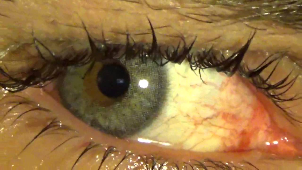 waicon basic colours acqua - YouTube