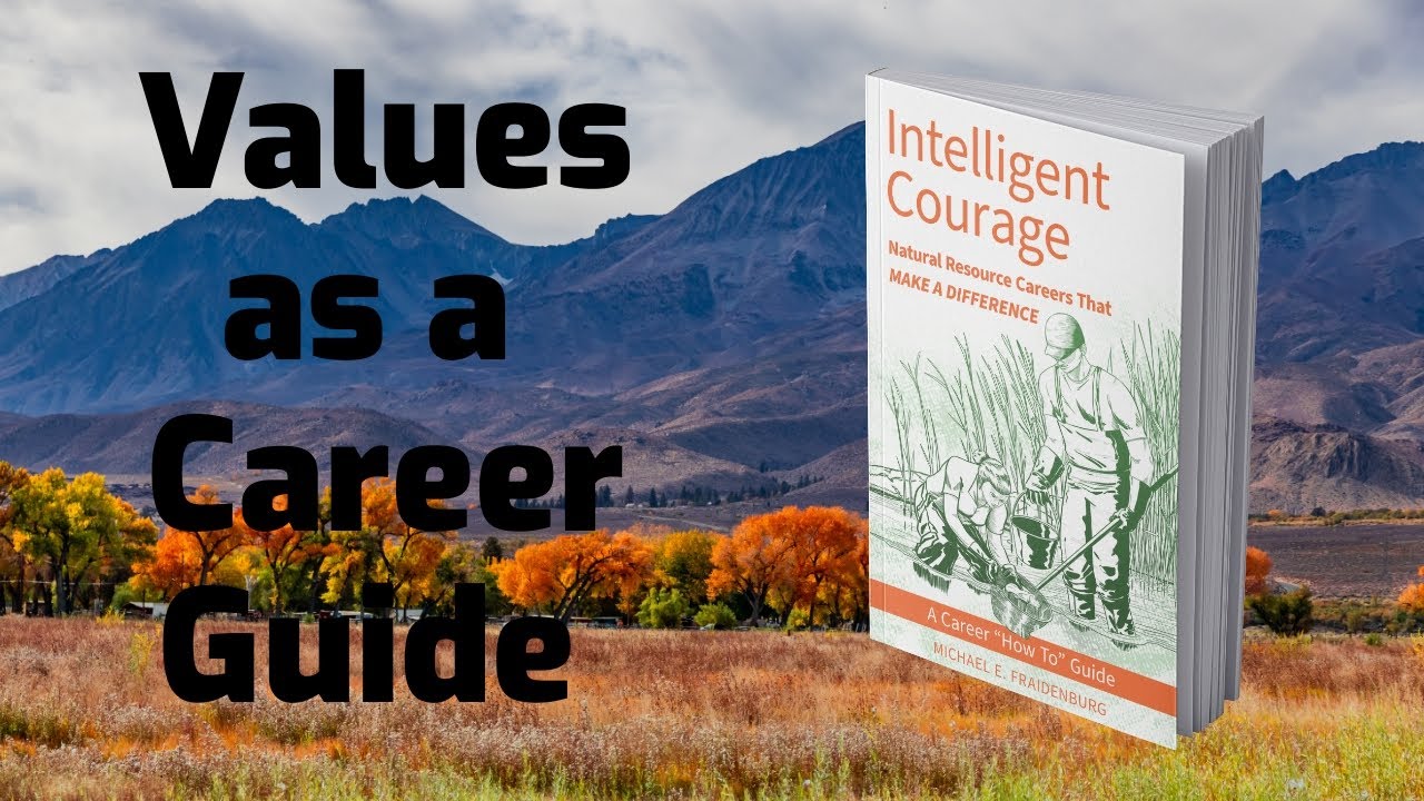 Values as a Career Guide - YouTube