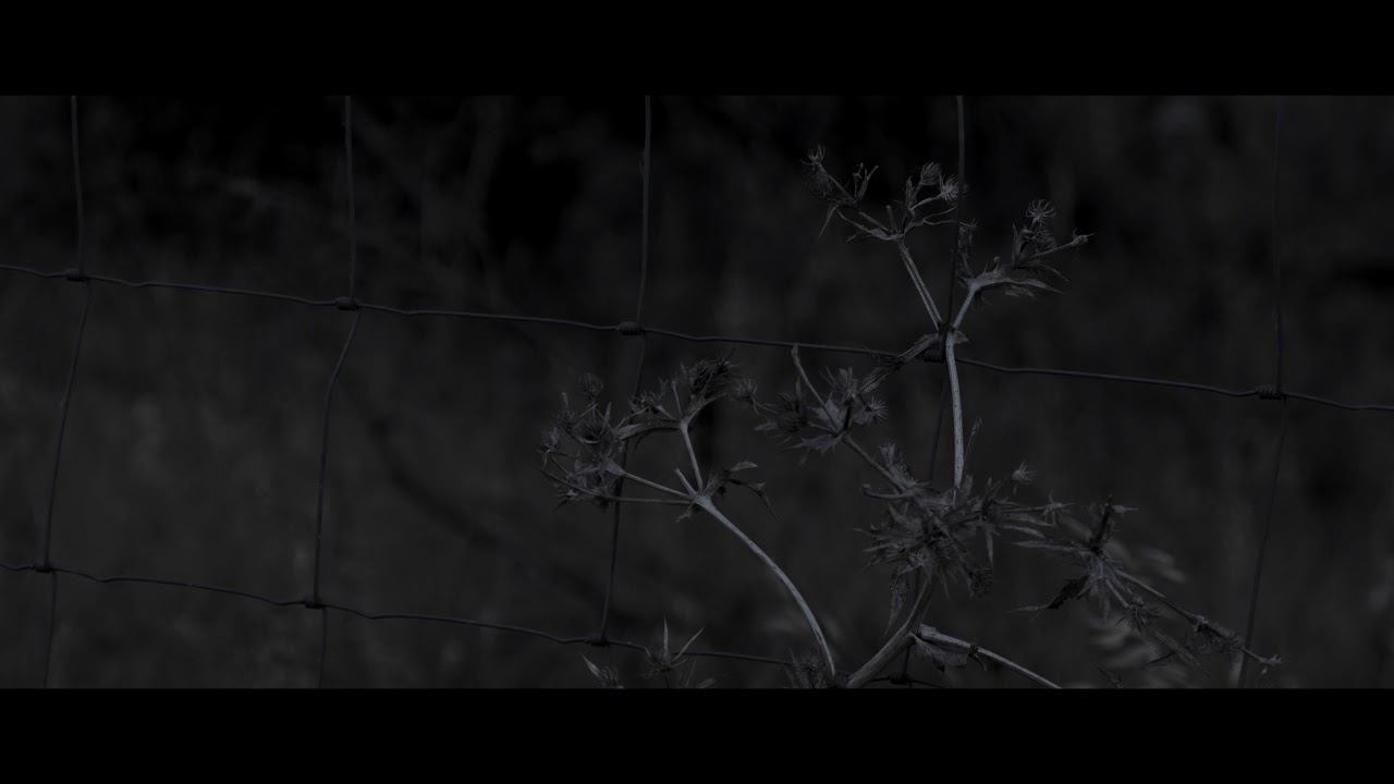 Creepy | Blackmagic Pocket Cinema Camera 4K - YouTube