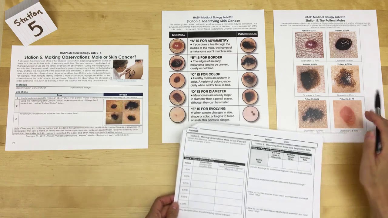 HASPI Medical Biology Lab 1B - Station 5 Making Observations - YouTube