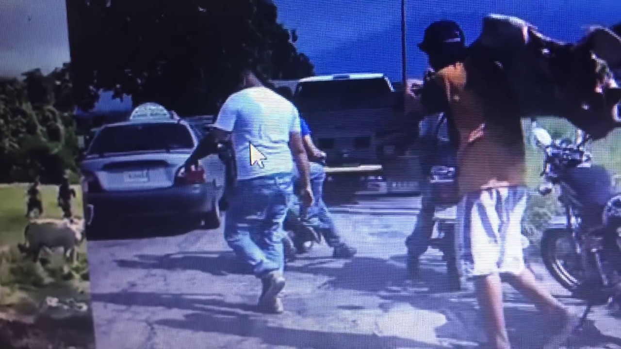 1/13~LETHARGIC COWS IN VENEZUELA?! US DIRECTION UNCOVERED! - YouTube