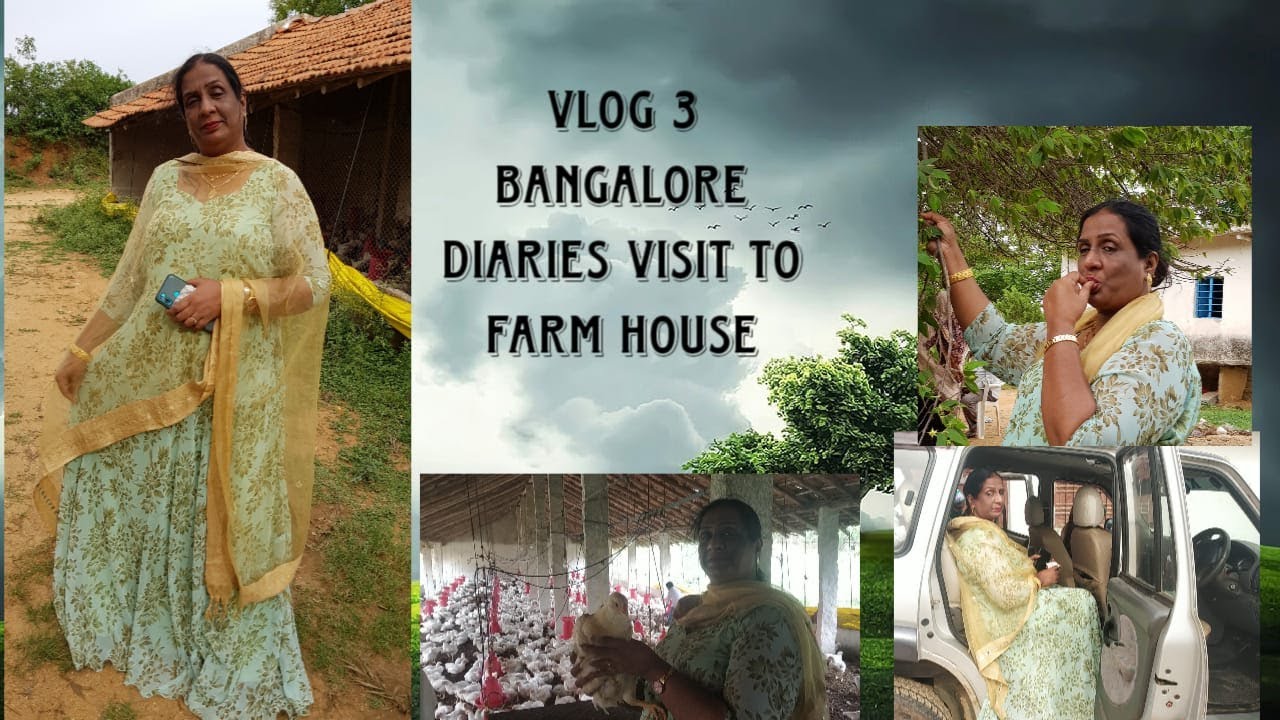 Bangalore diaries | Vlog Day 3|Don't miss the end| Visit to Kabir Pasha ...