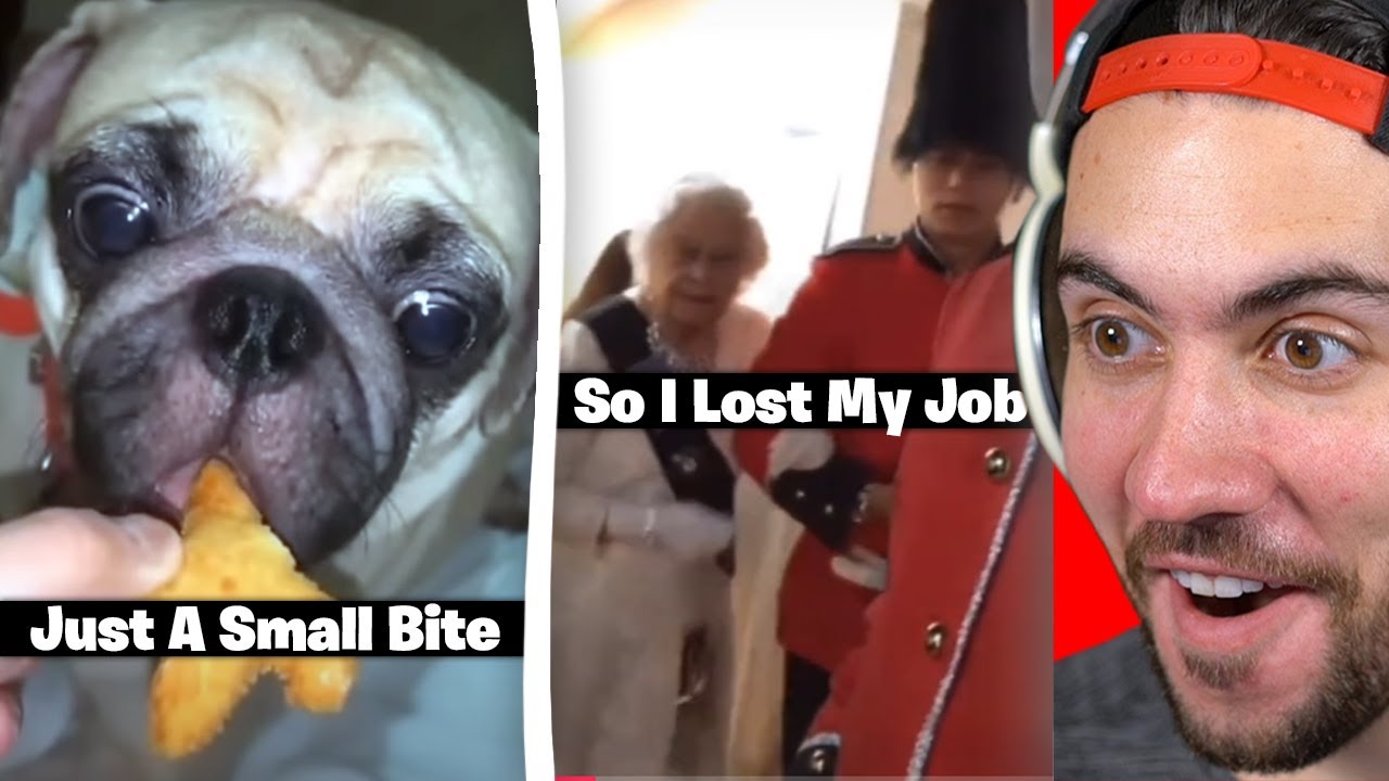TikTok Memes That Give You Brain Damage - YouTube