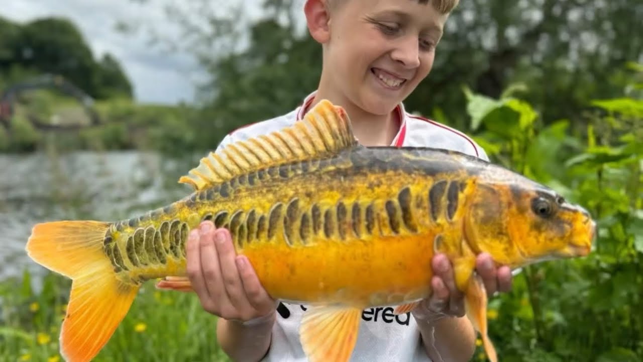 Couple of hours this evening after koi and tench with a nice surprise ...
