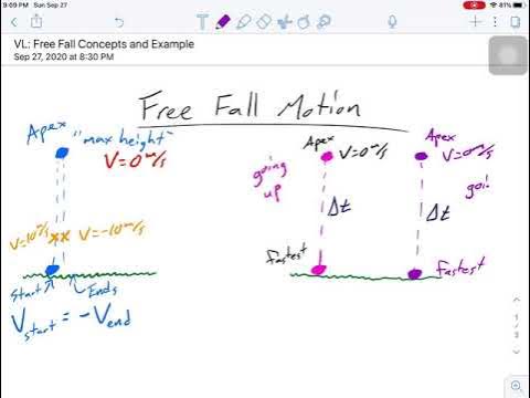 Free Fall Concepts and Example - YouTube
