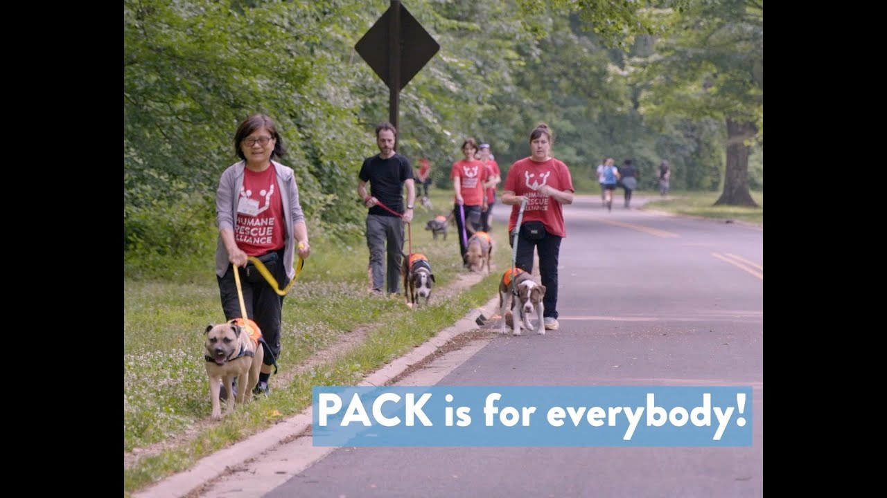 PACK Final - YouTube
