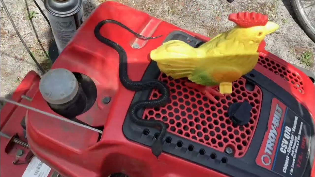 2010 Troy-Bilt CSV 070 for FREE.!!!! What the Heck is this Red Monster? - YouTube