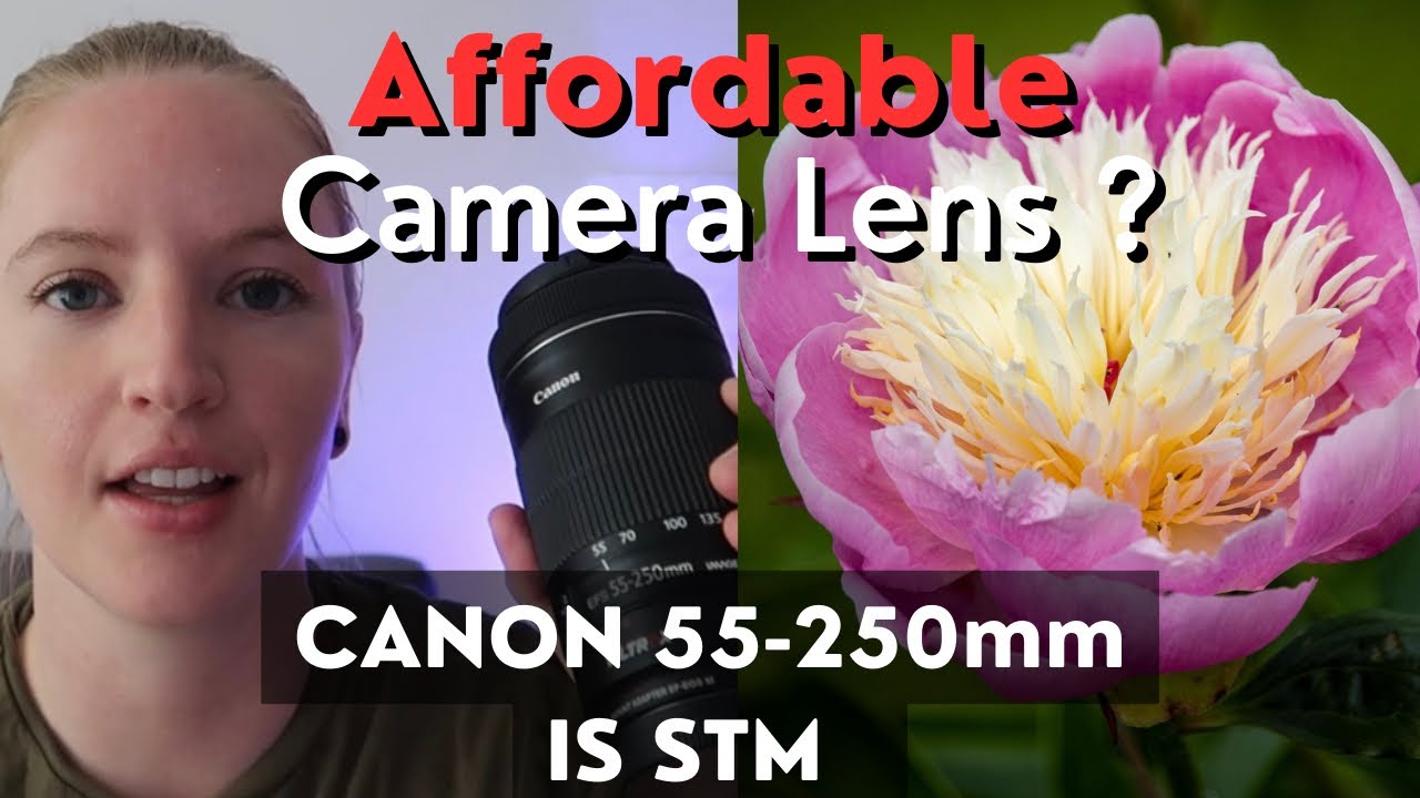 Best Budget Lens - CANON 55-250mm IS STM EF-S Review/Sample Photos ...
