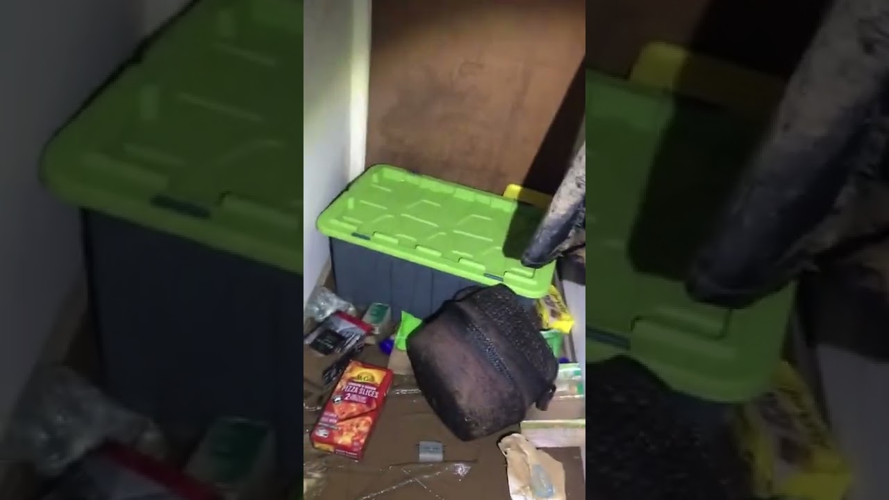 Can you help Lisa from Lismore? 💙